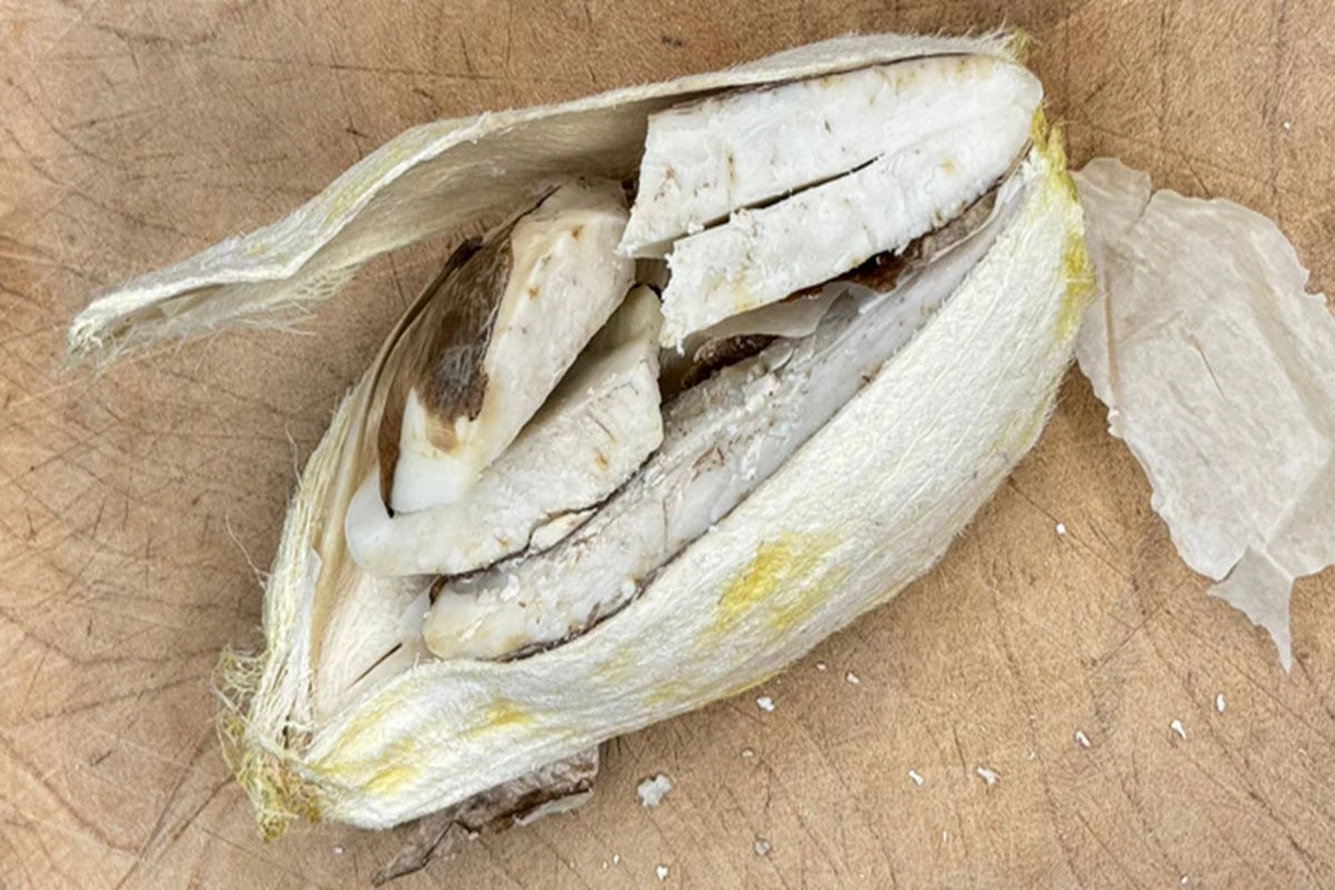 Mango Seed Butter: A Dermatological Marvel | Robyn Skincare